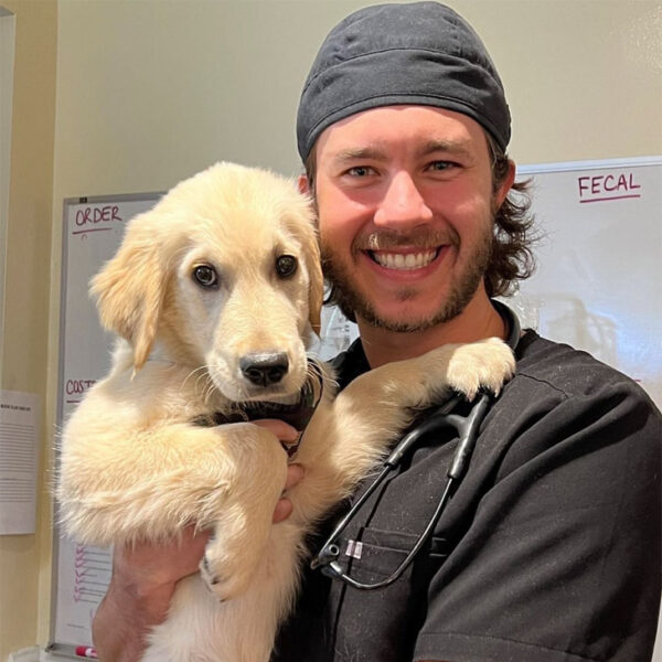 Meet Our Vet Team | Wishing Well Veterinary Hospital